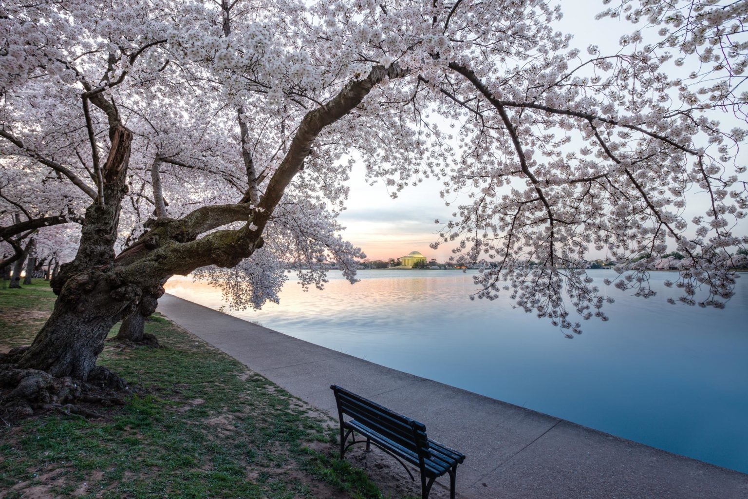 Jefferson Memorial in Washington DC (Photo Guide)