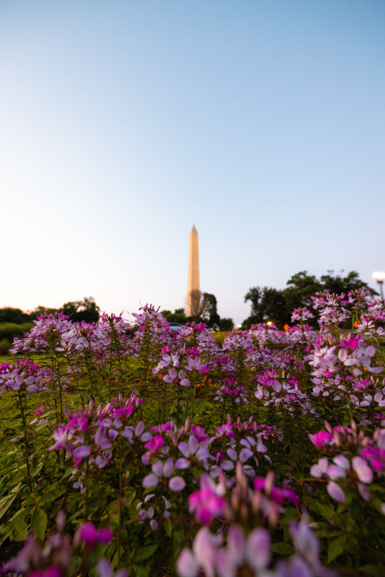 Floral Library at the Tidal Basin in DC (Photo Guide)
