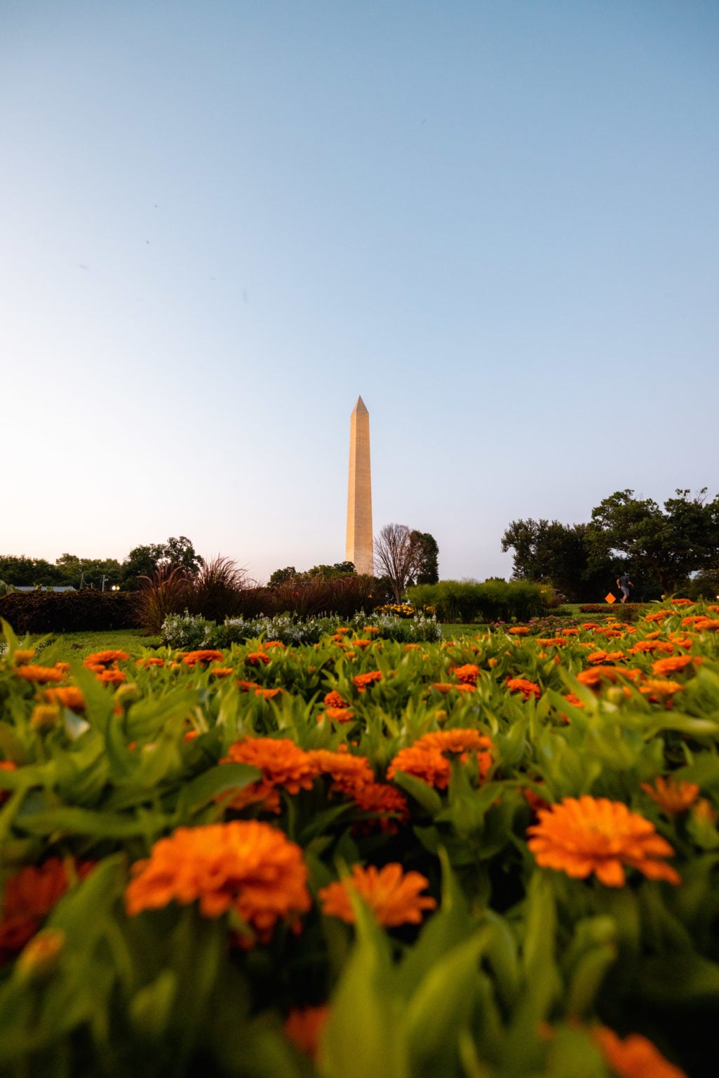Floral Library at the Tidal Basin in DC (Photo Guide)