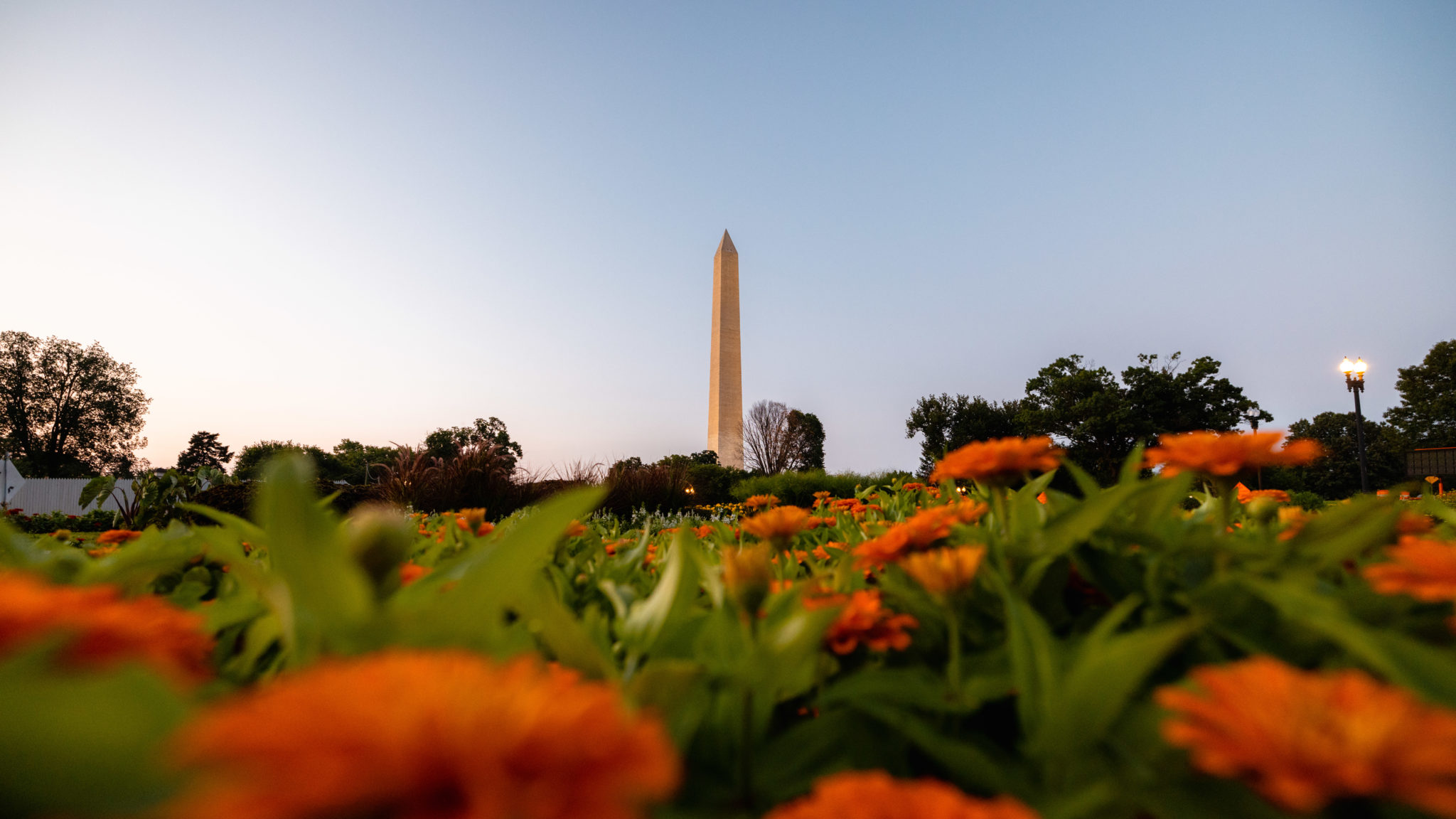 Floral Library at the Tidal Basin in DC (Photo Guide)
