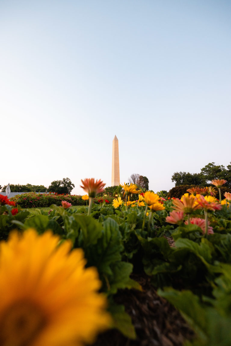 Floral Library at the Tidal Basin in DC (Photo Guide)