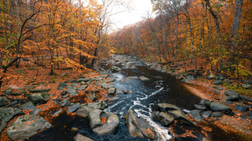 Photos of Fall Colors in Rock Creek Park (DC Foliage Guide)