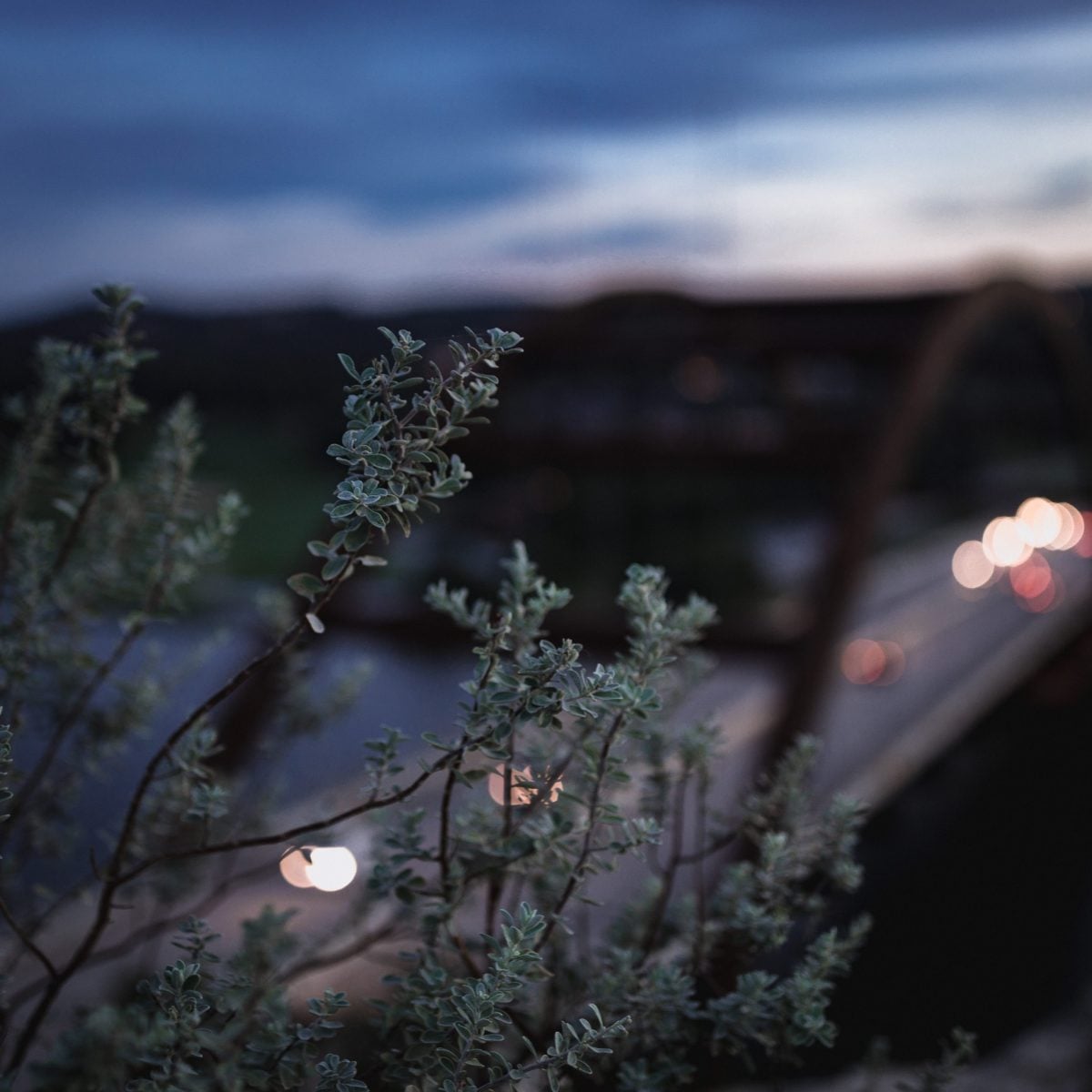 360 Bridge Overlook in Austin, Texas (Pictures)