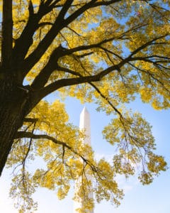 Washington Monument Facts: 15 Things to Know Before You Visit