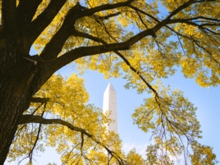 13 Interesting Washington Monument Facts