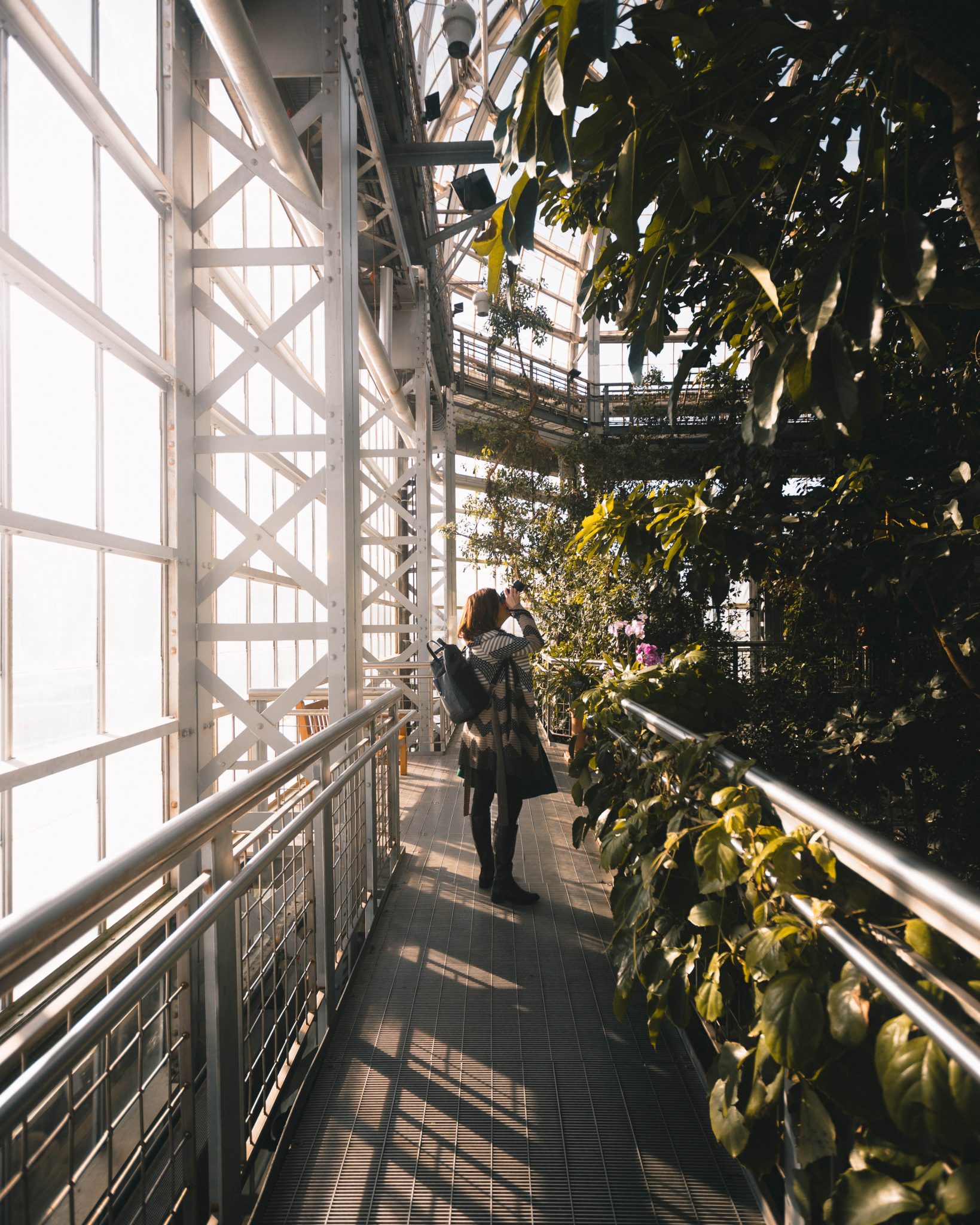 United States Botanic Garden in Washington D.C. (Photos)
