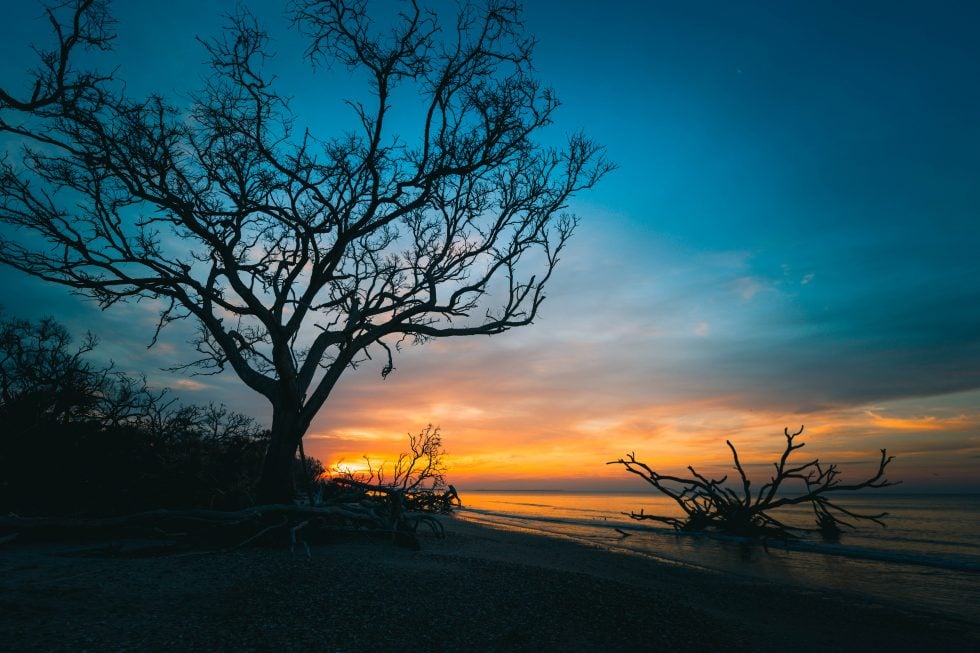 Botany Bay, South Carolina (Photo & Travel Guide)