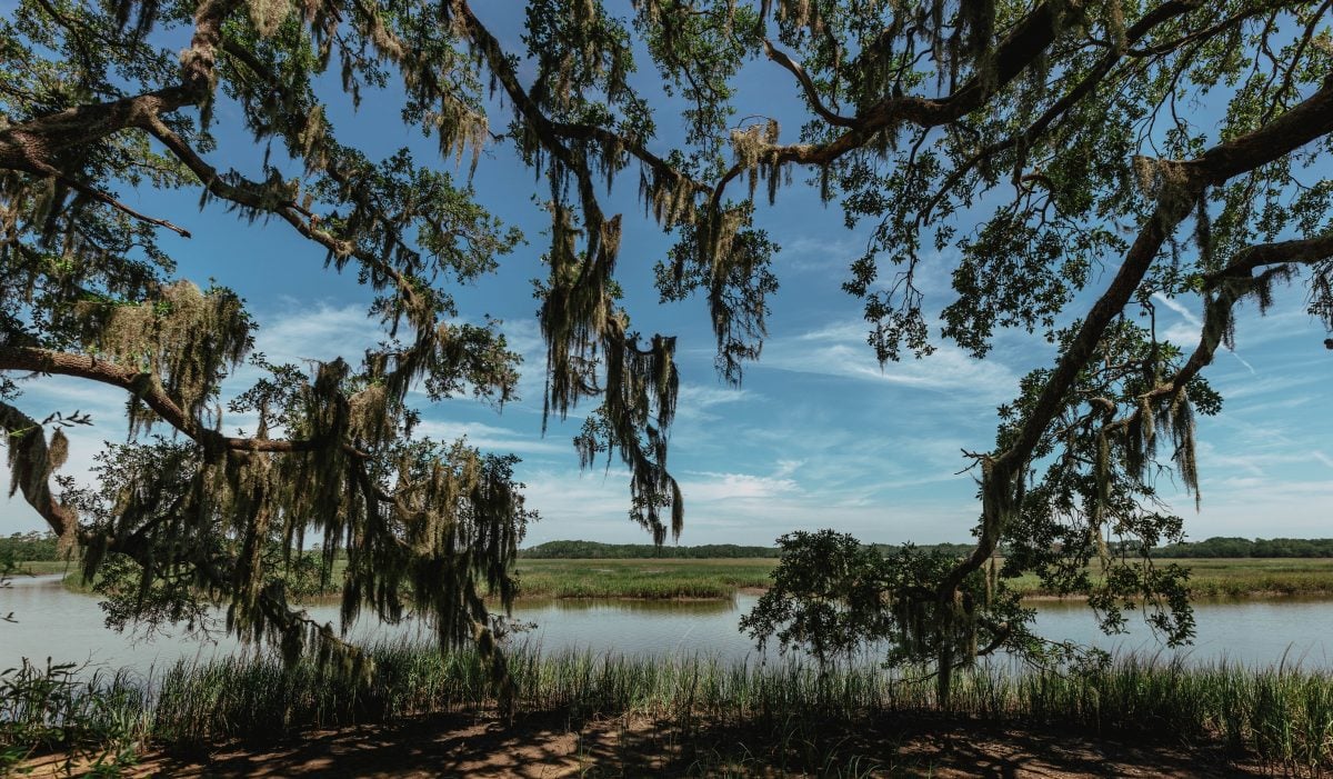 Botany Bay, South Carolina (Photo & Travel Guide)