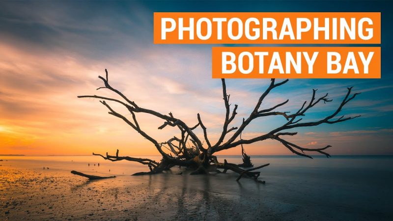 The Photographer's Guide to Botany Bay, South Carolina