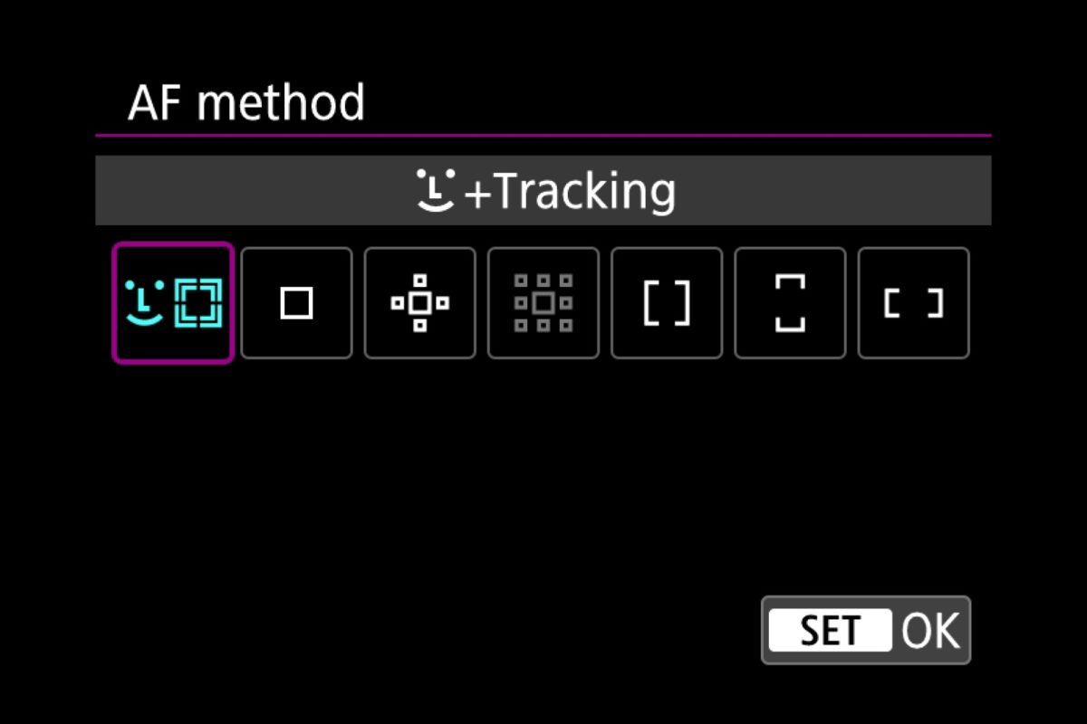 How to Livestream with Canon EOS R (Step-by-Step Guide)
