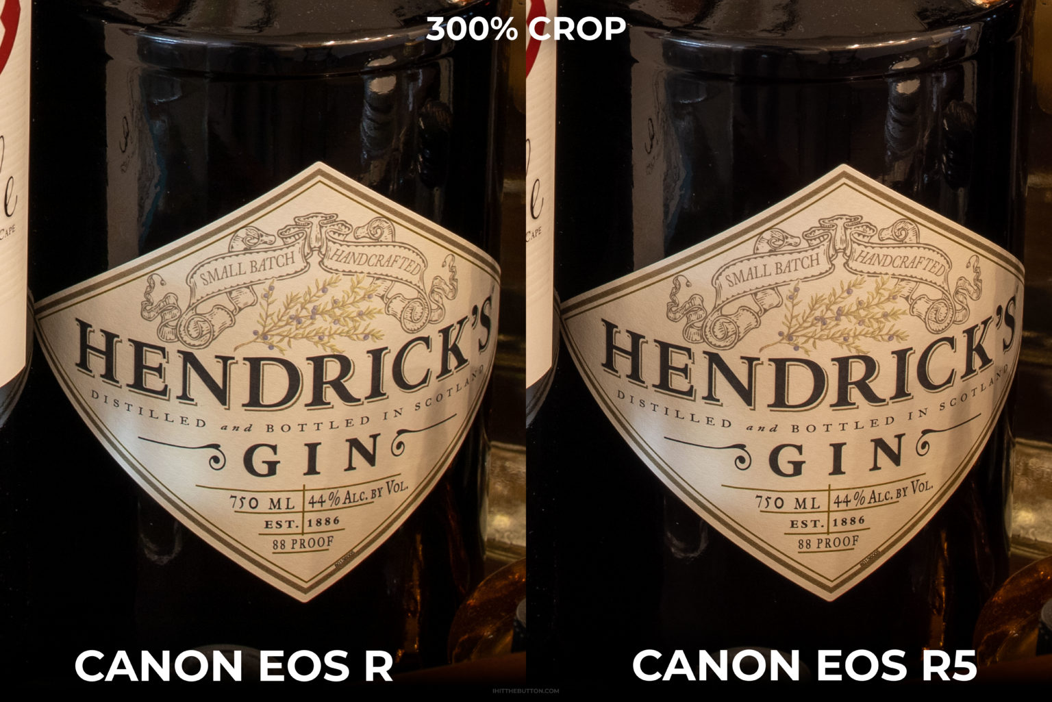 Canon EOS R5 vs EOS R: Comparison w/ Image Quality Tests