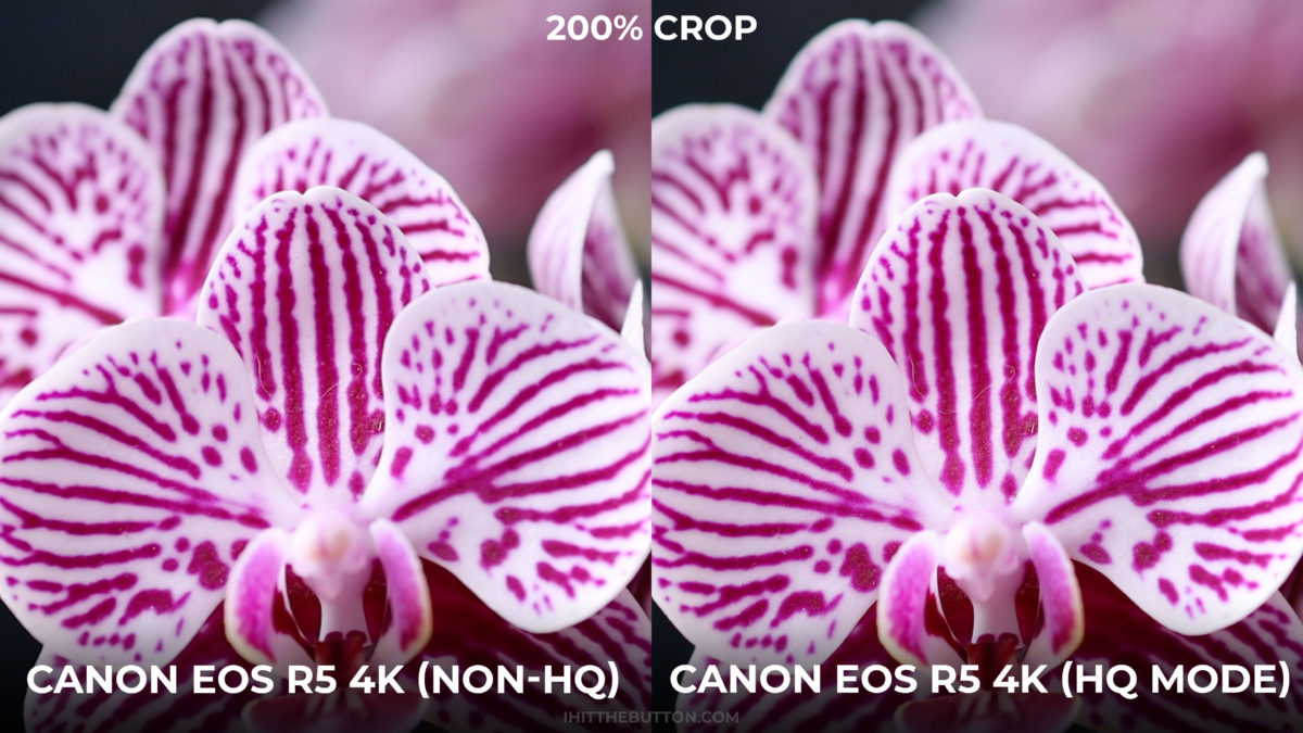 Canon EOS R5 vs EOS R: Comparison w/ Image Quality Tests