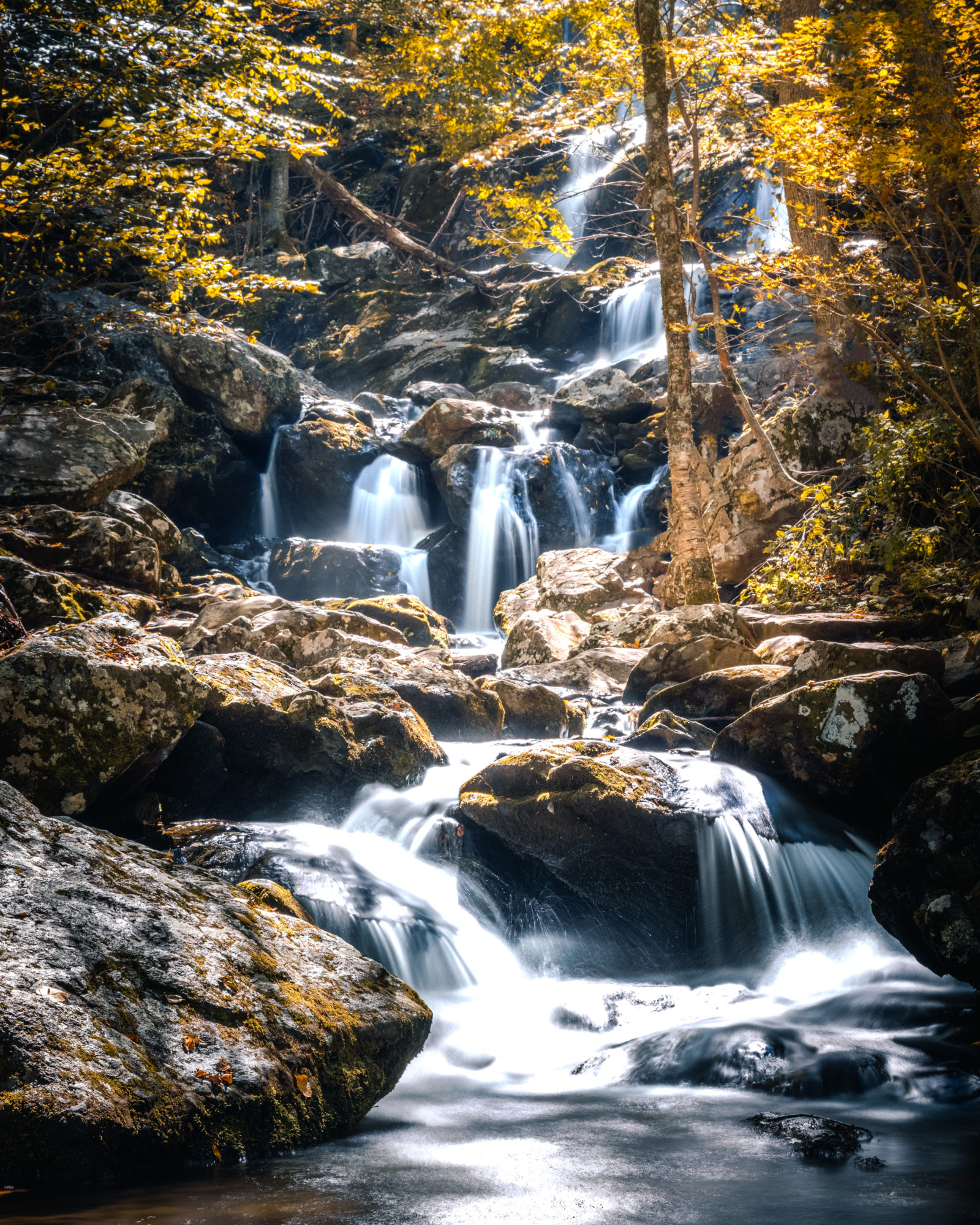 Dark Hollow Falls in Shenandoah National Park (Photos and Tips)