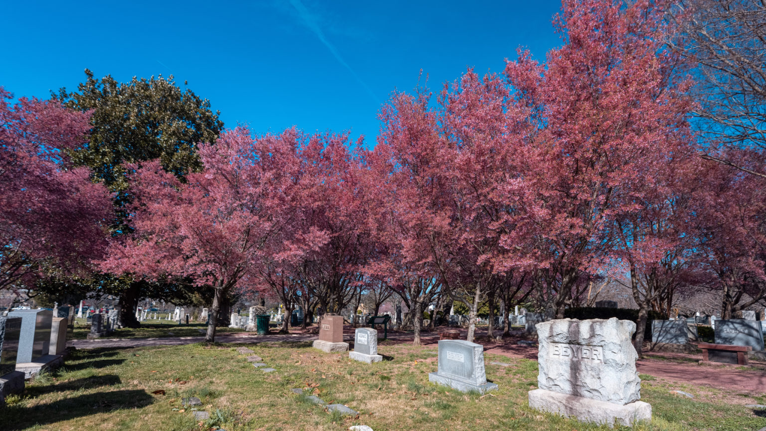 Visiting Congressional Cemetery in Washington DC (Photos)