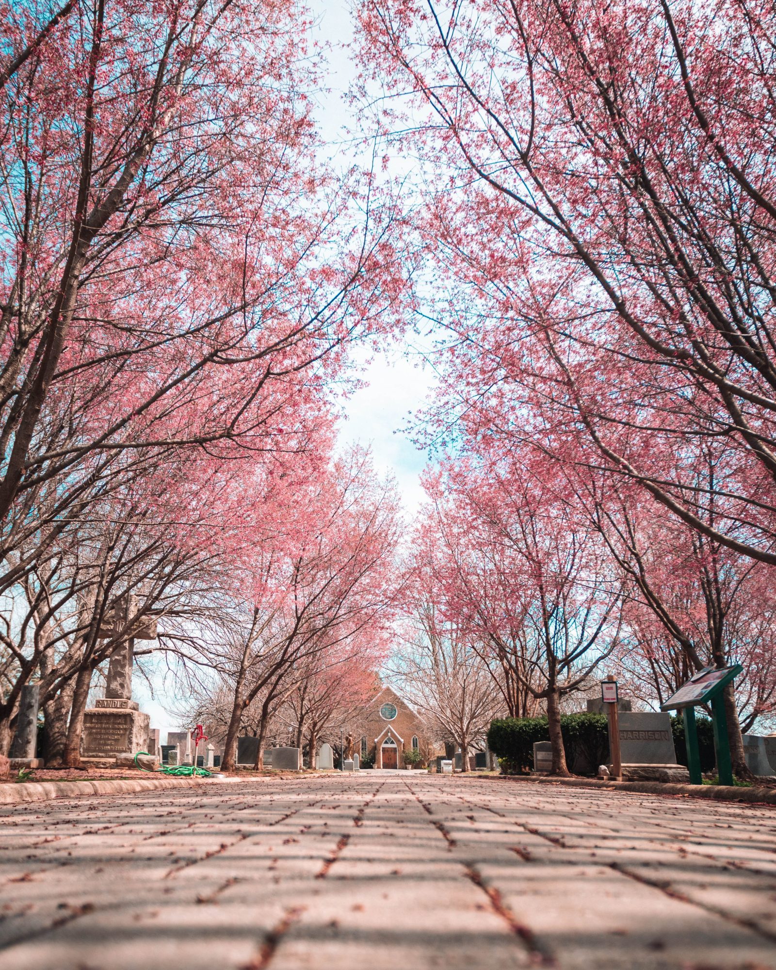 Visiting Congressional Cemetery in Washington DC (Photos)