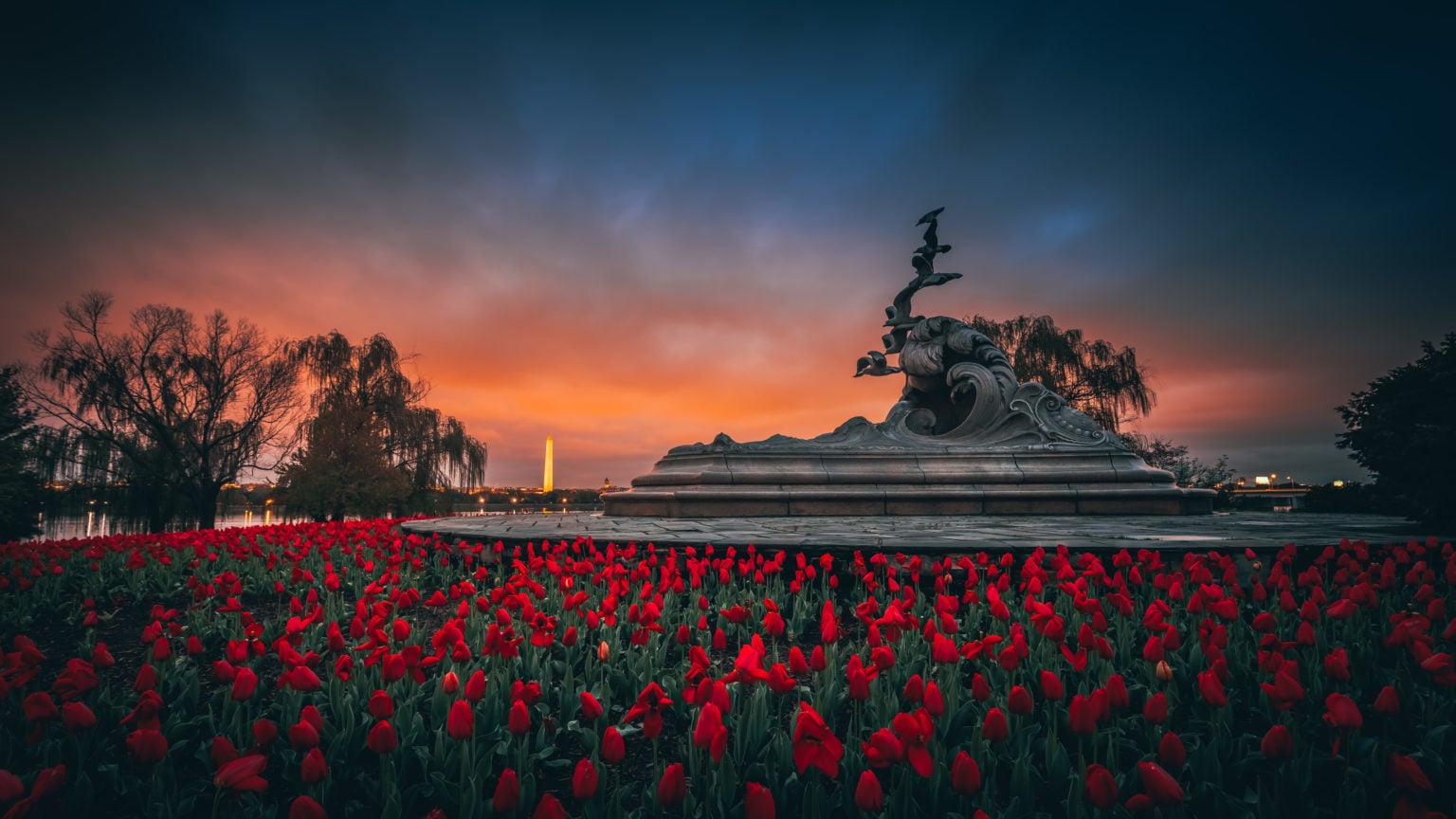 Floral Library at the Tidal Basin in DC (Photo Guide)