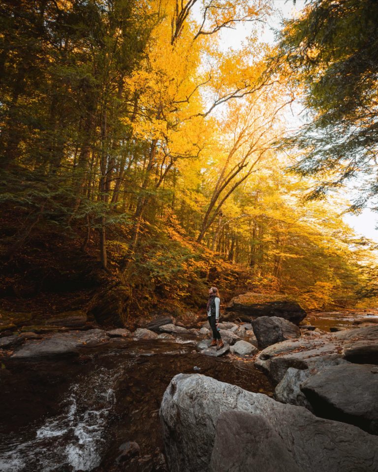 How to Stretch an Image in Photoshop Without Distortion