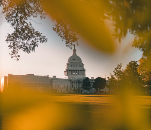 Best Places to See Fall Foliage in Washington DC (Photo Guide)