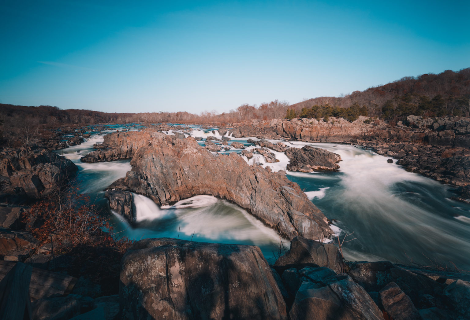 Best Places to See Fall Foliage in Washington DC (Photo Guide)