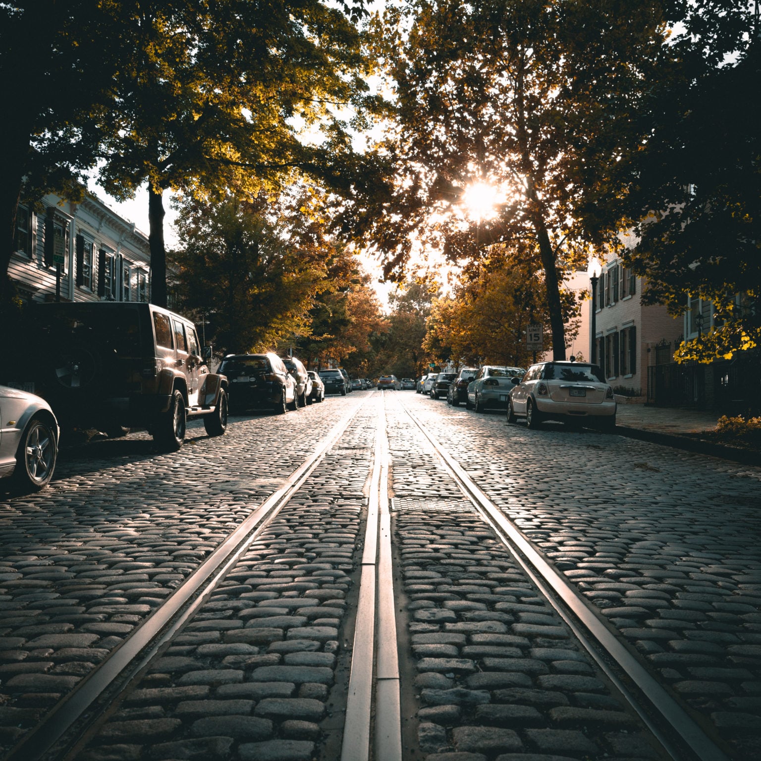 Best Places to See Fall Foliage in Washington DC (Photo Guide)