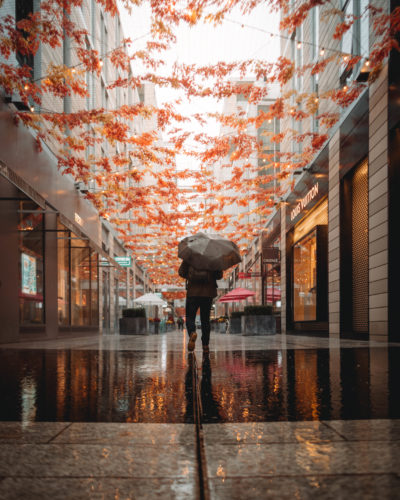 Best Places to See Fall Foliage in Washington DC (Photo Guide)