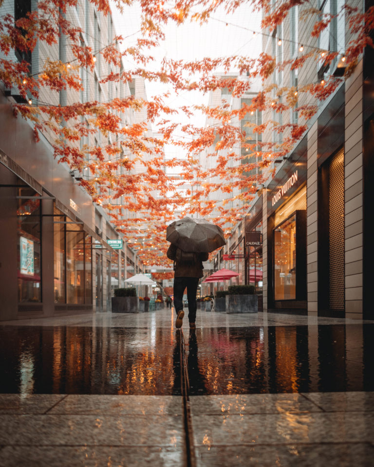 Best Places to See Fall Foliage in Washington DC (Photo Guide)