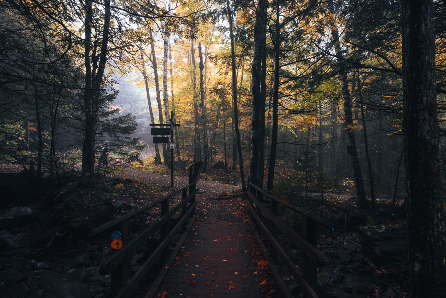 Kaaterskill Falls in the Catskills (Photo & Hiking Guide)
