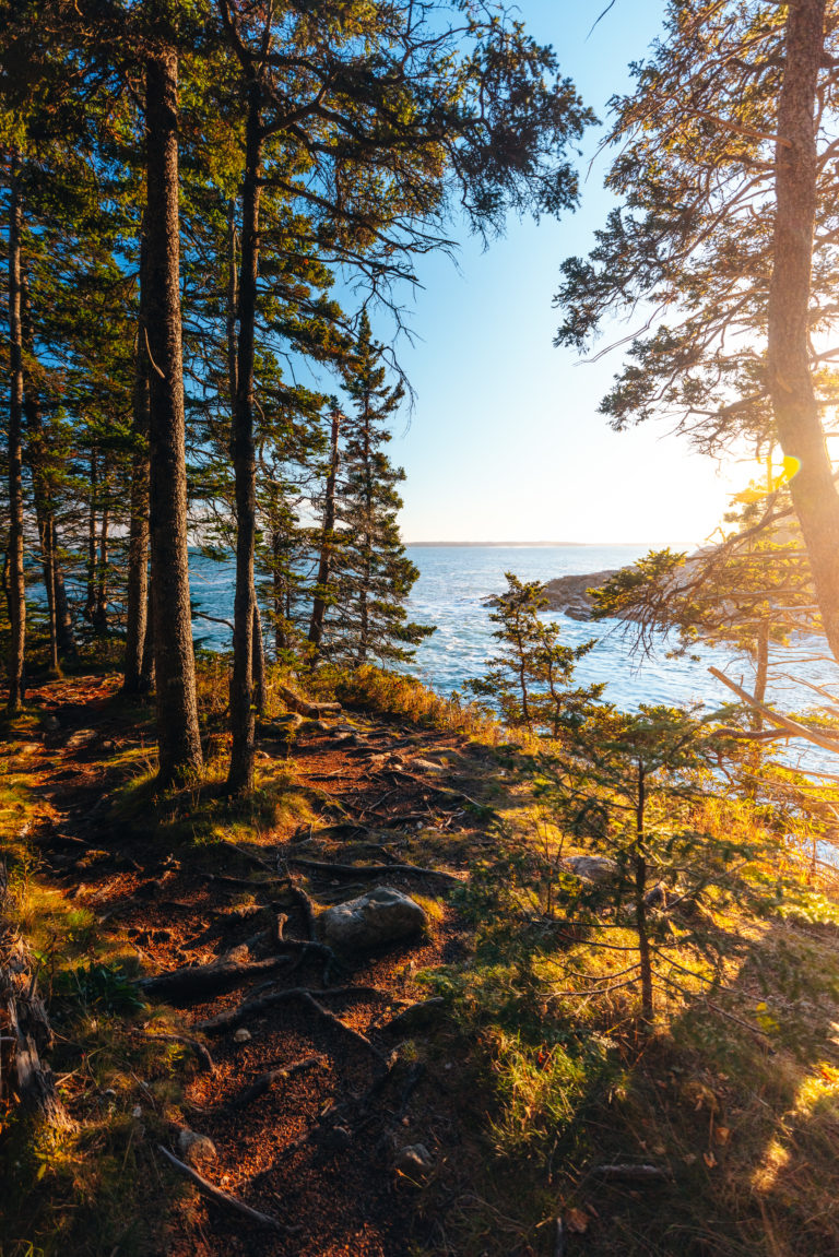 Best Places to Take Photos in Acadia National Park (Photo Guide)