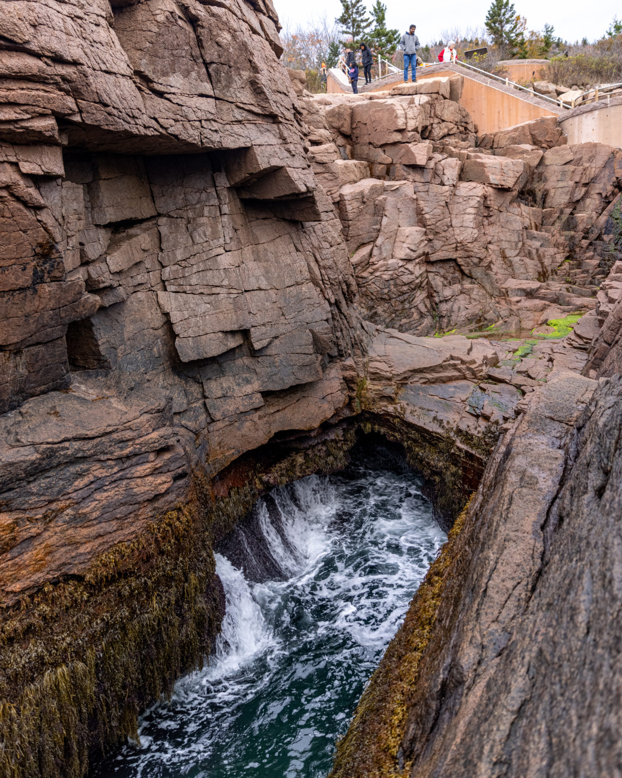 Best Places to Take Photos in Acadia National Park (Photo Guide)