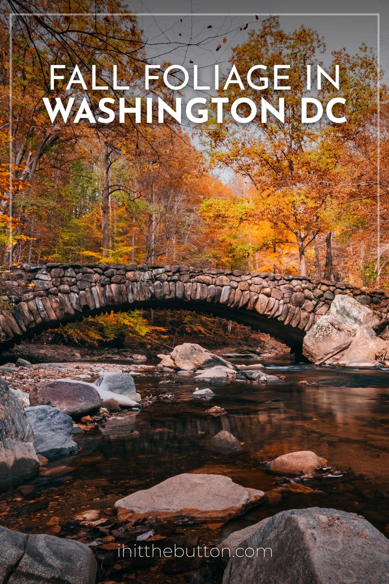 Best Places to See Fall Foliage in Washington DC (Photo Guide)