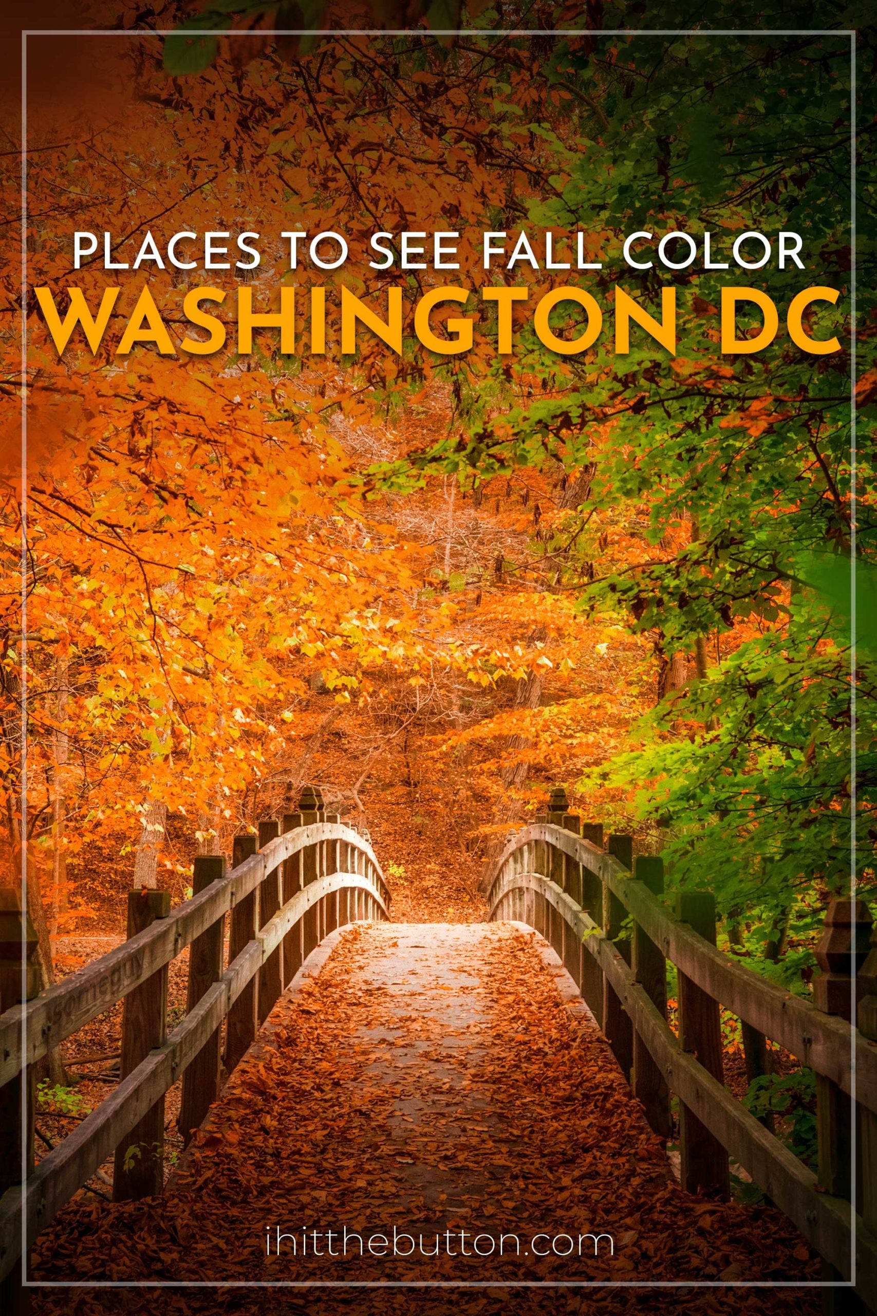 Best Places to See Fall Foliage in Washington DC (Photo Guide)