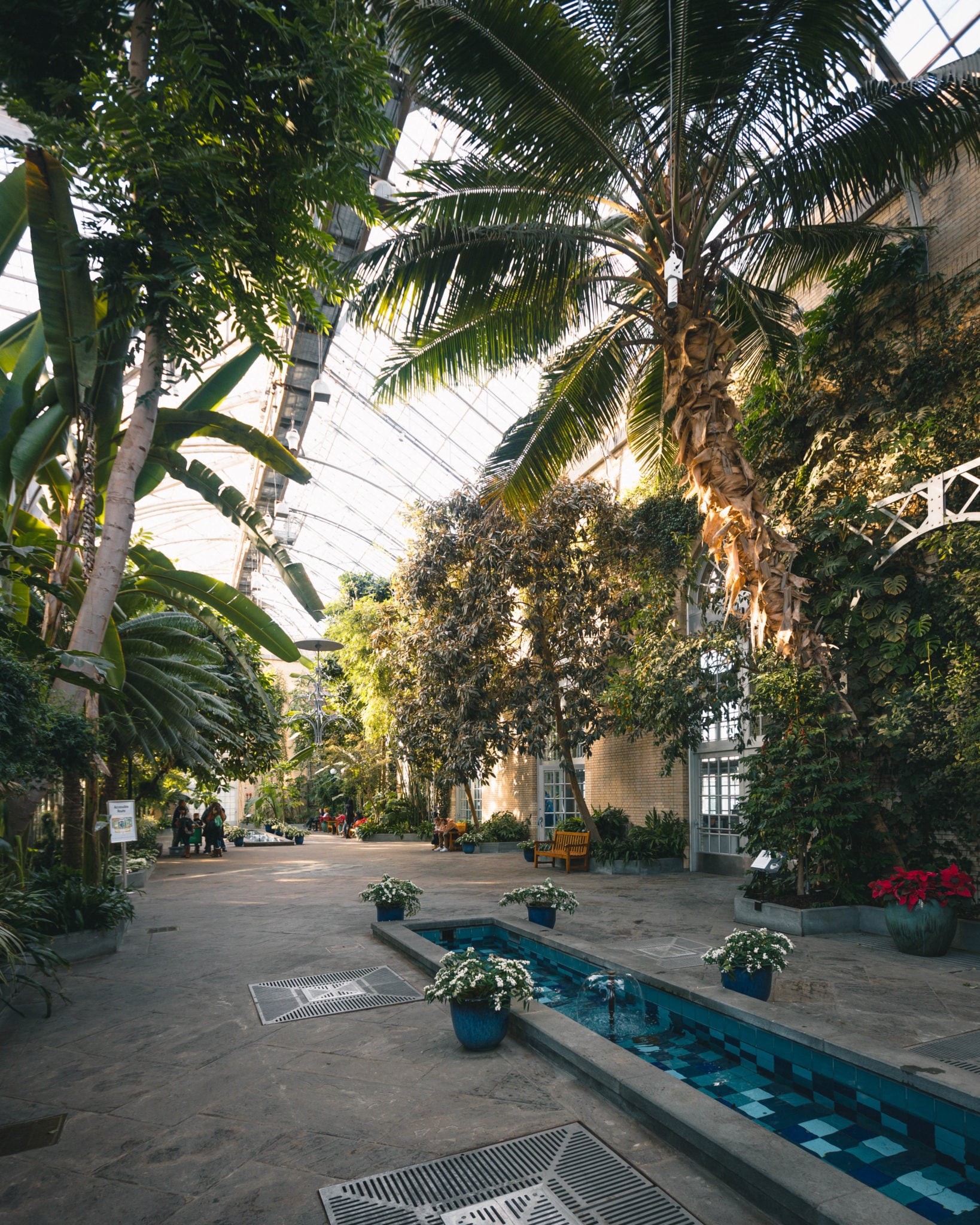 United States Botanic Garden in Washington D.C. (Photos)