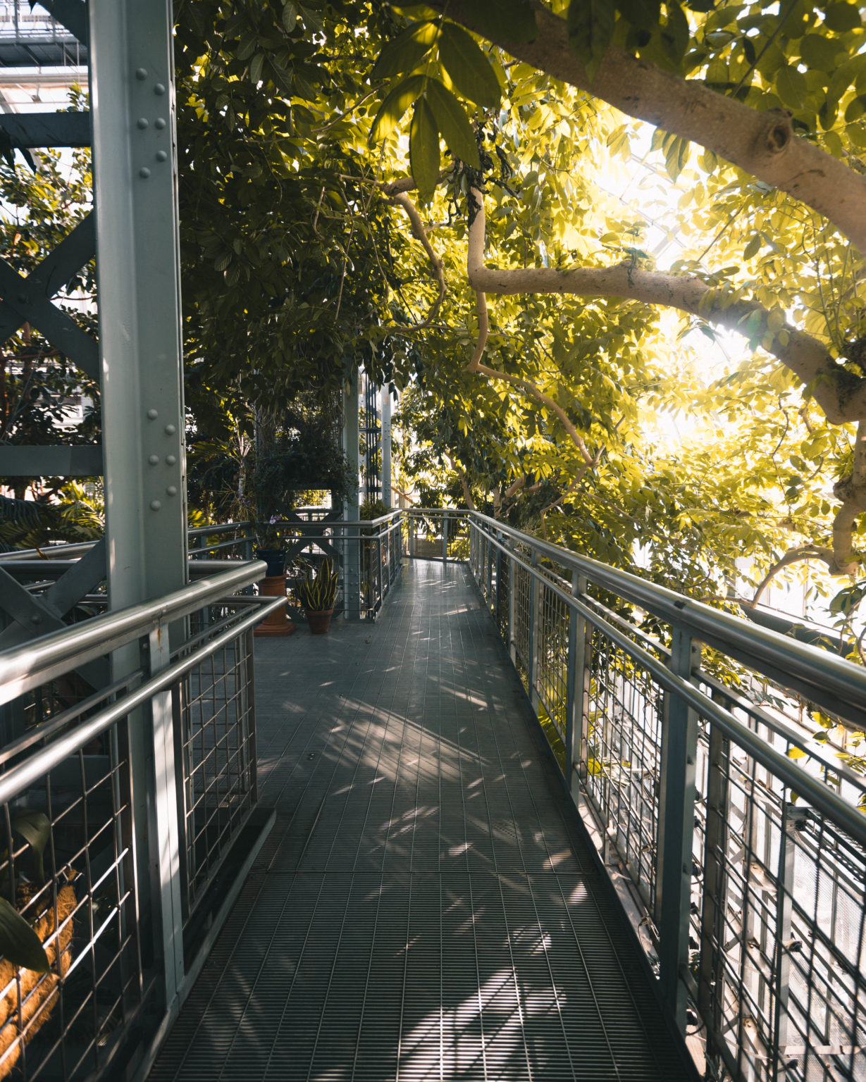 United States Botanic Garden in Washington D.C. (Photos)