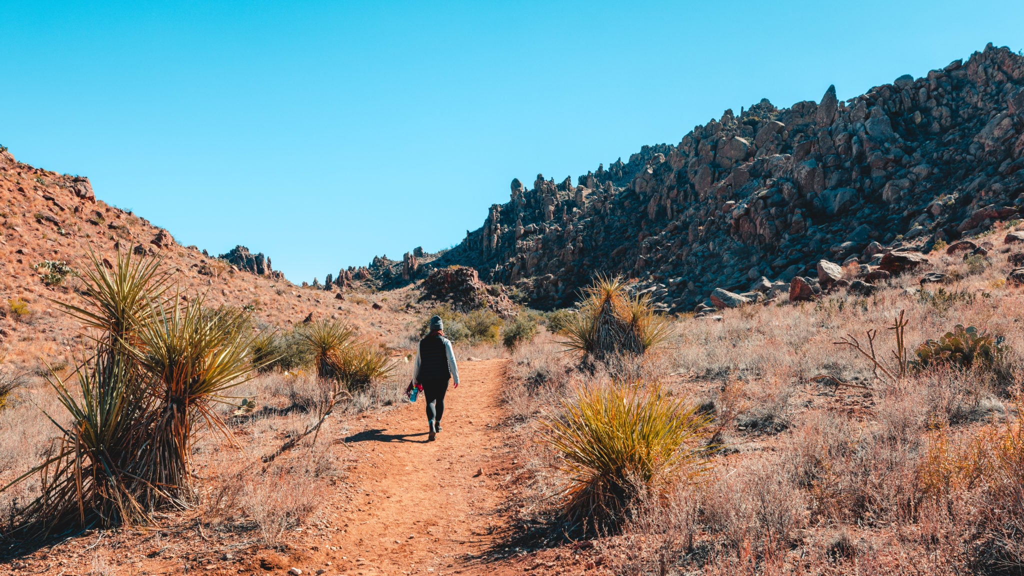 Balanced Rock Hike in Big Bend National Park (Hike Overview & Photos)