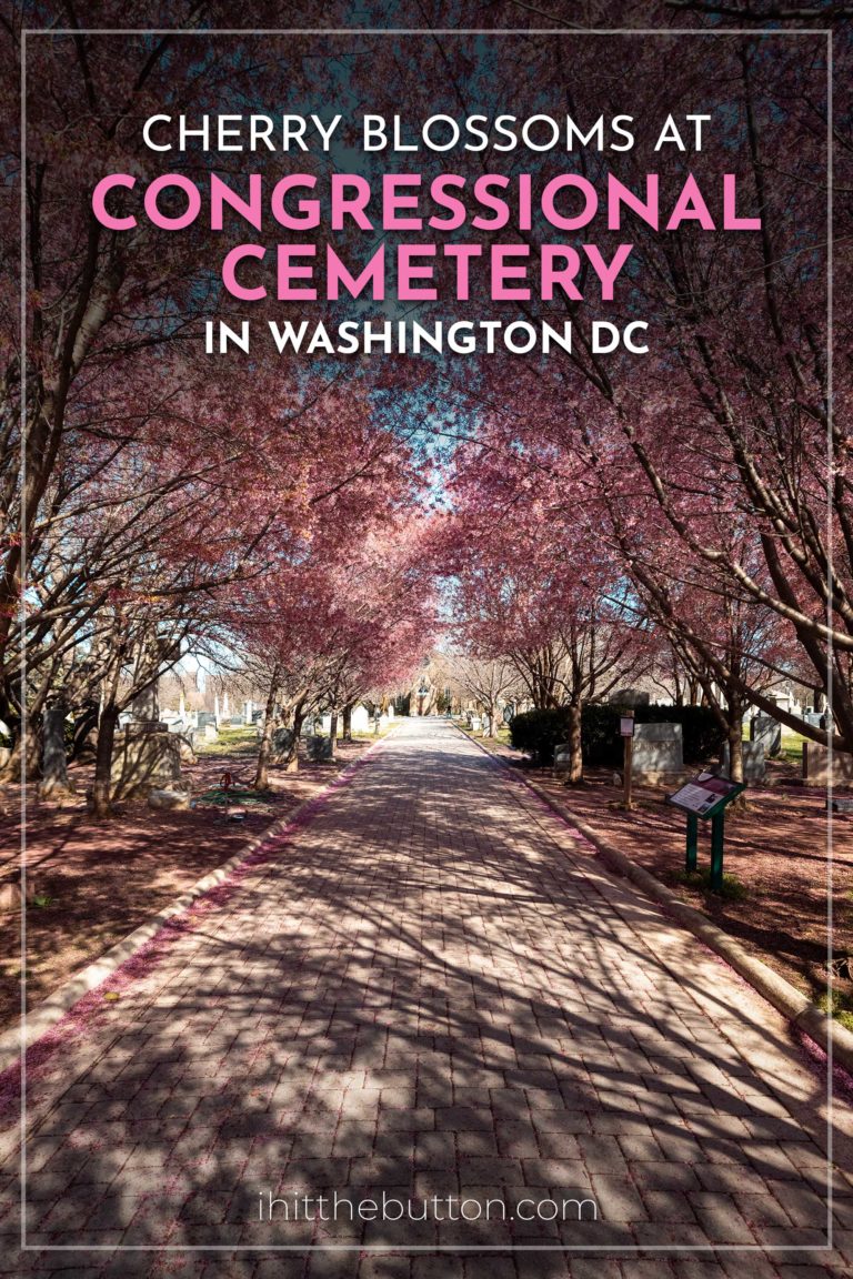 Visiting Congressional Cemetery in Washington DC (Photos)