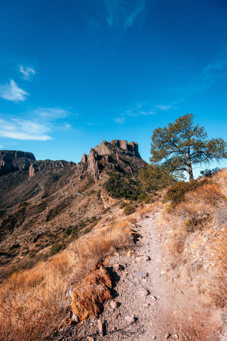 Lost Mine Trail: Must-do Big Bend National Park Hike