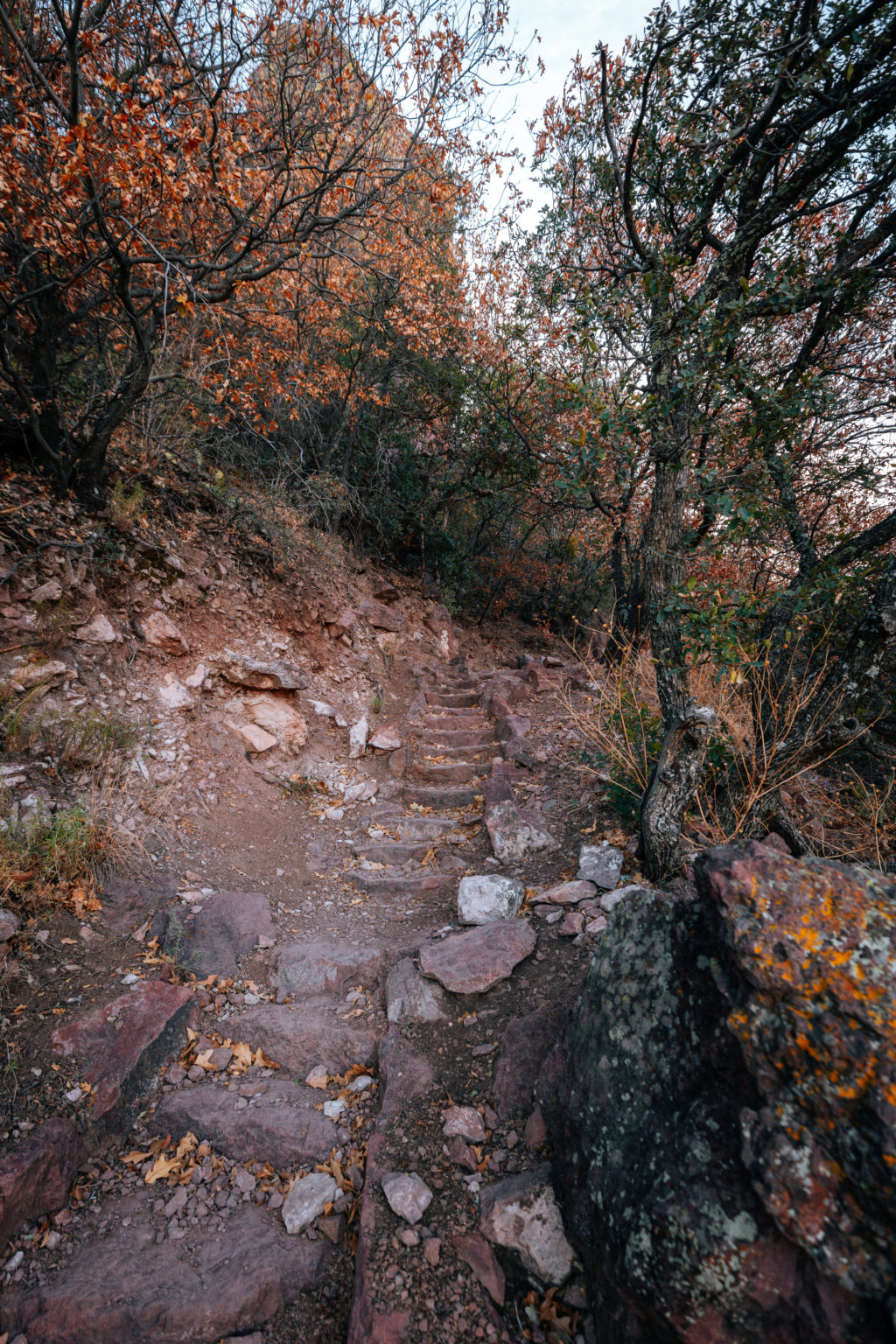 Lost Mine Trail: Must-do Big Bend National Park Hike