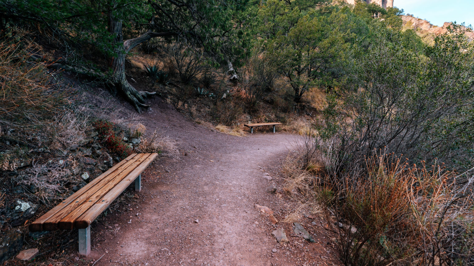 Lost Mine Trail: Must-do Big Bend National Park Hike