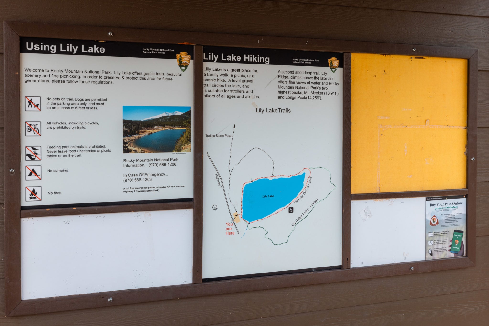 Lily Lake in Rocky Mountain National Park (Guide & Photos)