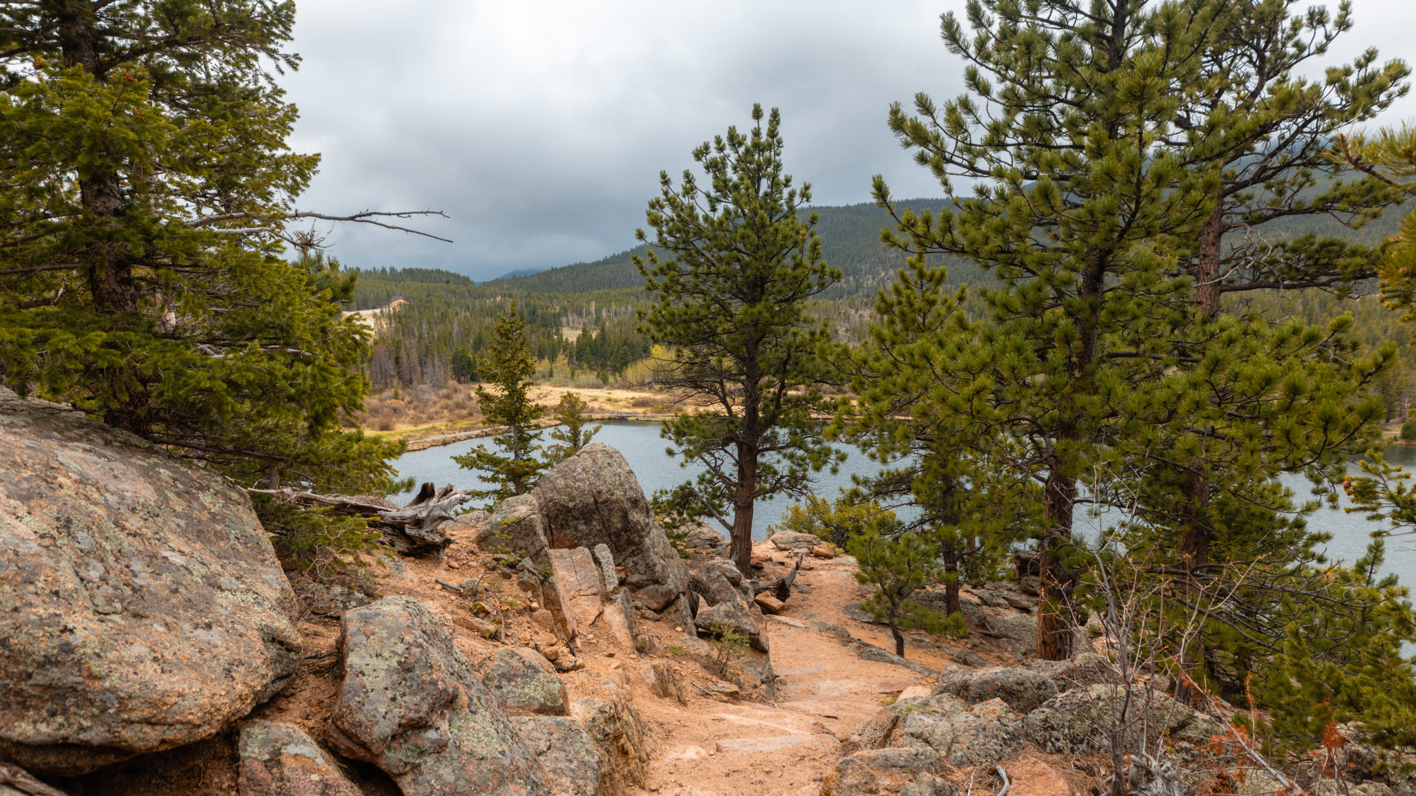 Lily Lake in Rocky Mountain National Park (Guide & Photos)