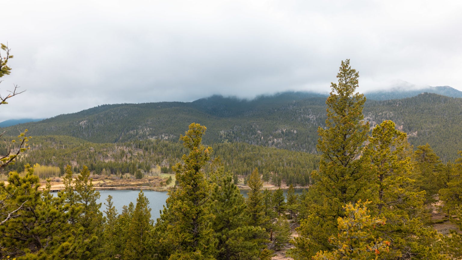 Lily Lake in Rocky Mountain National Park (Guide & Photos)