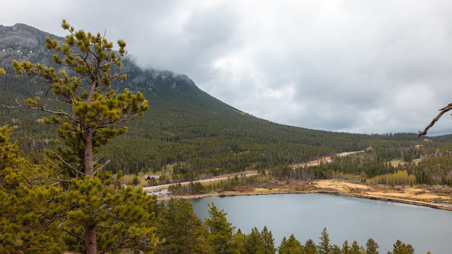Lily Lake in Rocky Mountain National Park (Guide & Photos)