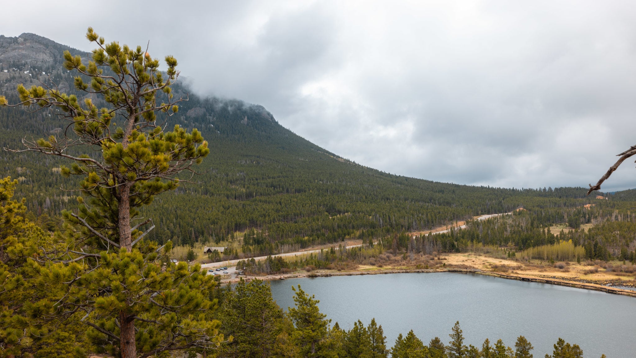 Lily Lake in Rocky Mountain National Park (Guide & Photos)