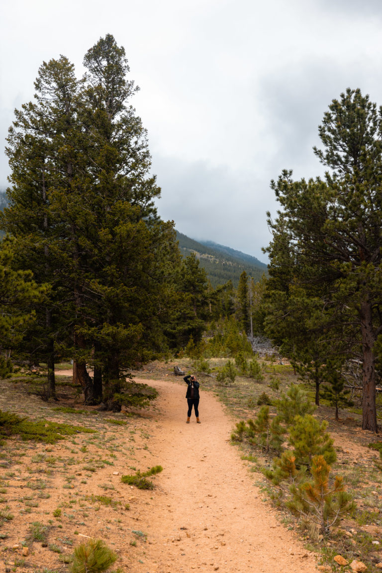 Lily Lake in Rocky Mountain National Park (Guide & Photos)