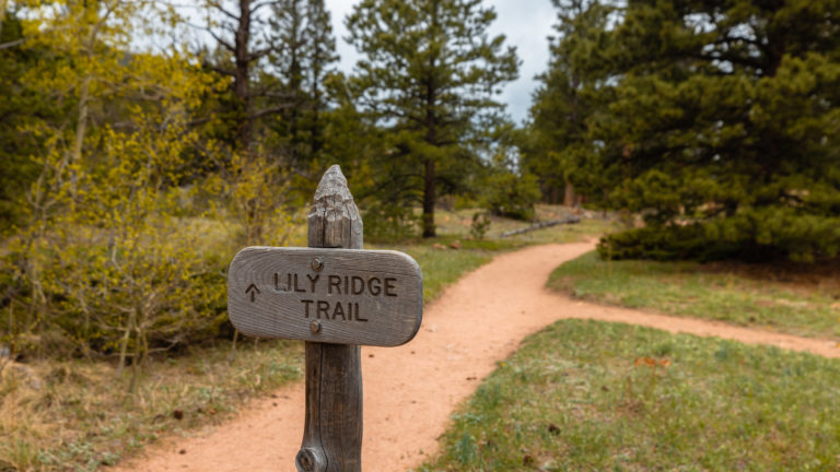 Lily Lake in Rocky Mountain National Park (Guide & Photos)