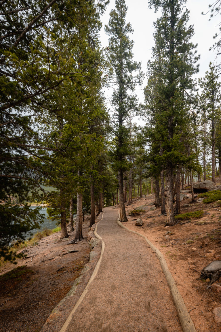 Lily Lake in Rocky Mountain National Park (Guide & Photos)