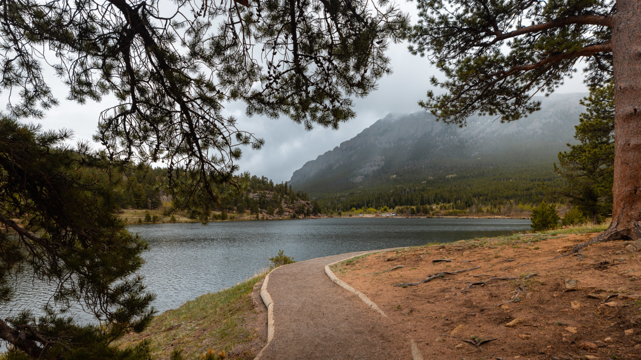 Lily Lake in Rocky Mountain National Park (Guide & Photos)