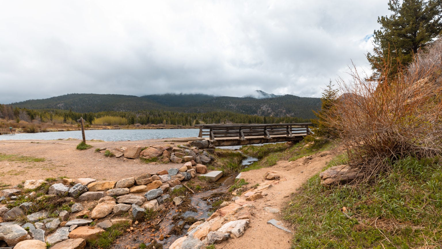 Lily Lake in Rocky Mountain National Park (Guide & Photos)