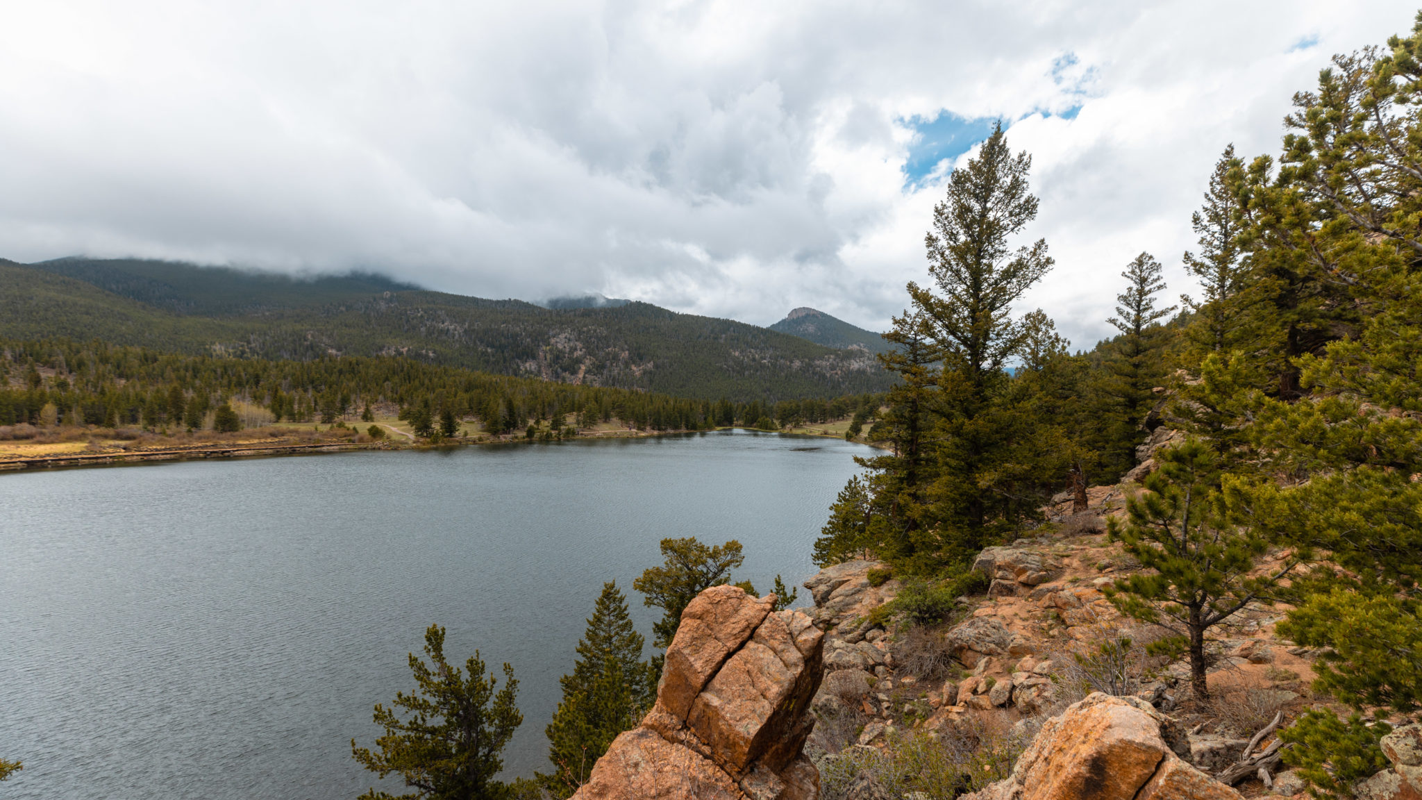 Lily Lake in Rocky Mountain National Park (Guide & Photos)