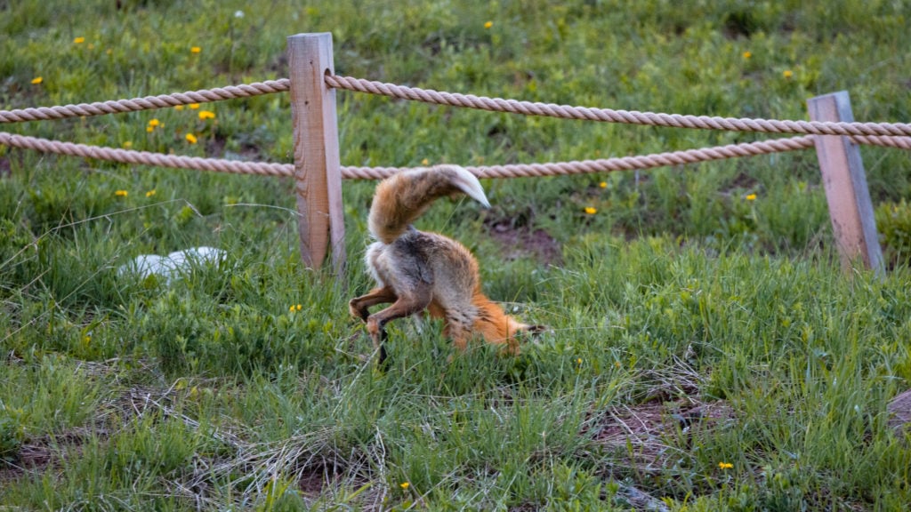 Maroon Bells: Photographing the Iconic Colorado View